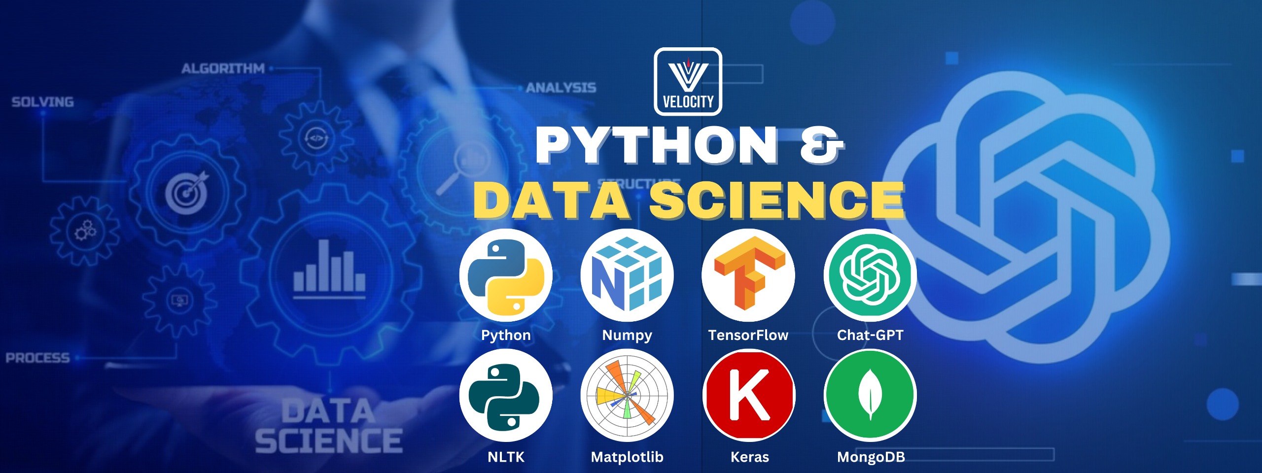 📊 India's No.1 IT Training Center 📈